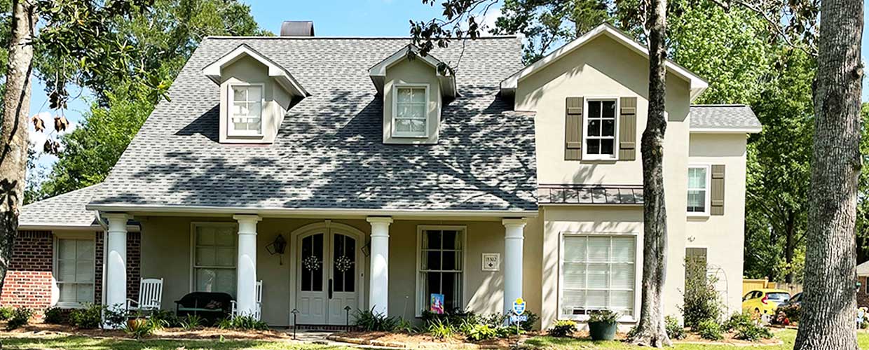 Hector Professional Painting – Professional Painting